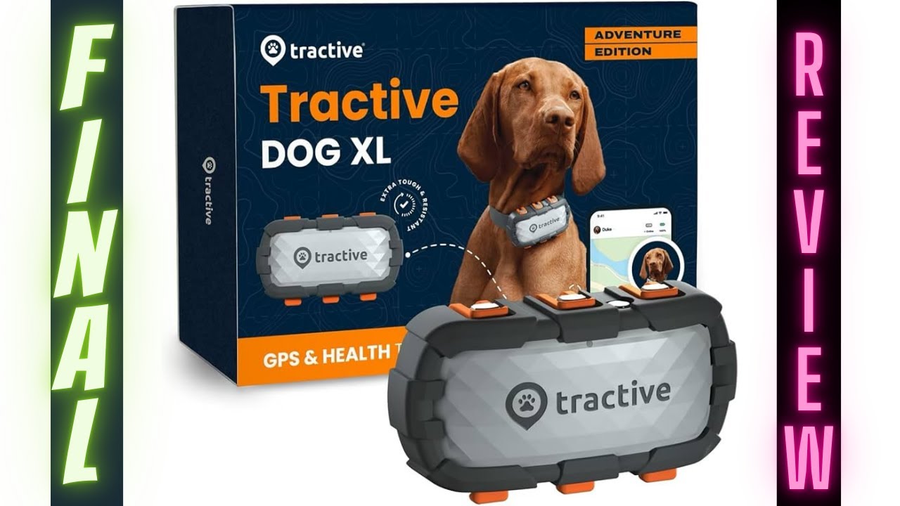 Tractive Final Review - Does it actually work? Or is it just a lot of ...