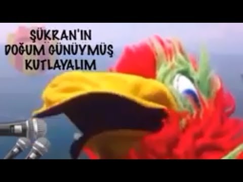İyi ki Doğdun ŞÜKRAN :) 2. KOMİK DOĞUM GÜNÜ MESAJI 🎂 *ABİDİN KUKLA*