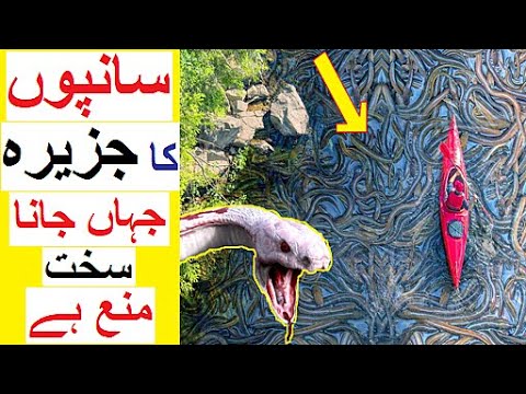 Snake Island - Saanpun Ka Jazeera - Jahan Ap Nahi Ja Saktay