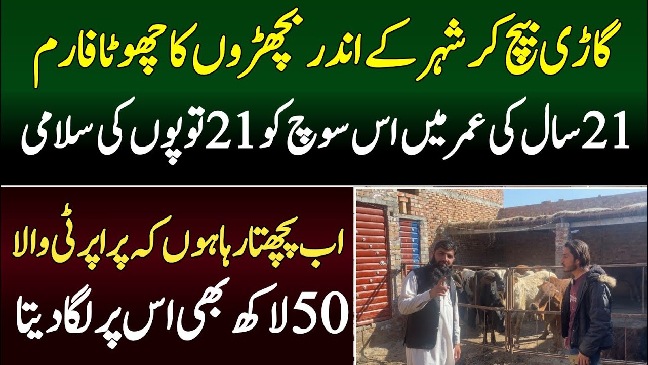 Small Bachra farming in city|| Bachra farming 3 Month Business idea in ...