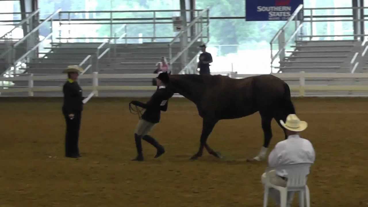 2012_08_25 Izzy's English Showmanship 13 and Under (Delaware) - YouTube