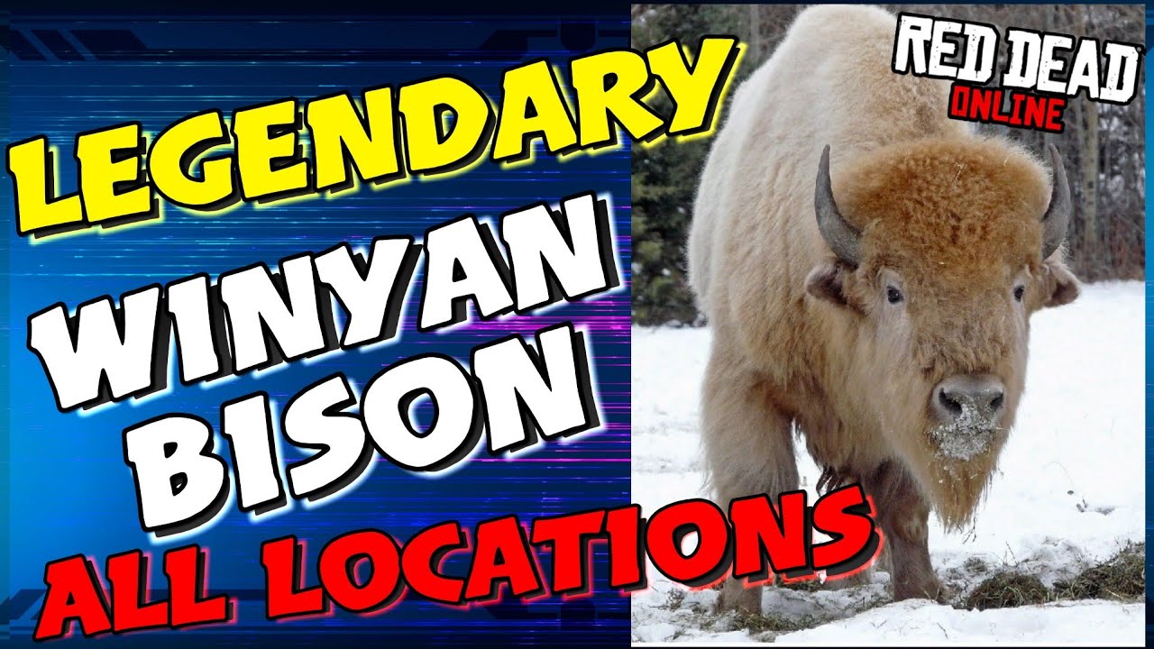 Legendary Winyan Bison All locations RDR2 Online garment set Guide ...