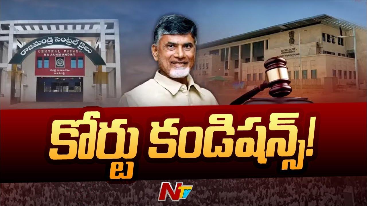 Chandrababu Naidu Gets Interim Bail For 4 Weeks In Skills Development Case | NT - YouTube