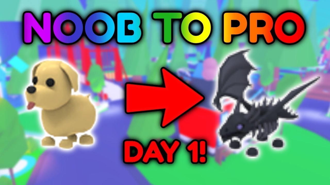 POOR To RICH CHALLENGE In Adopt Me - YouTube