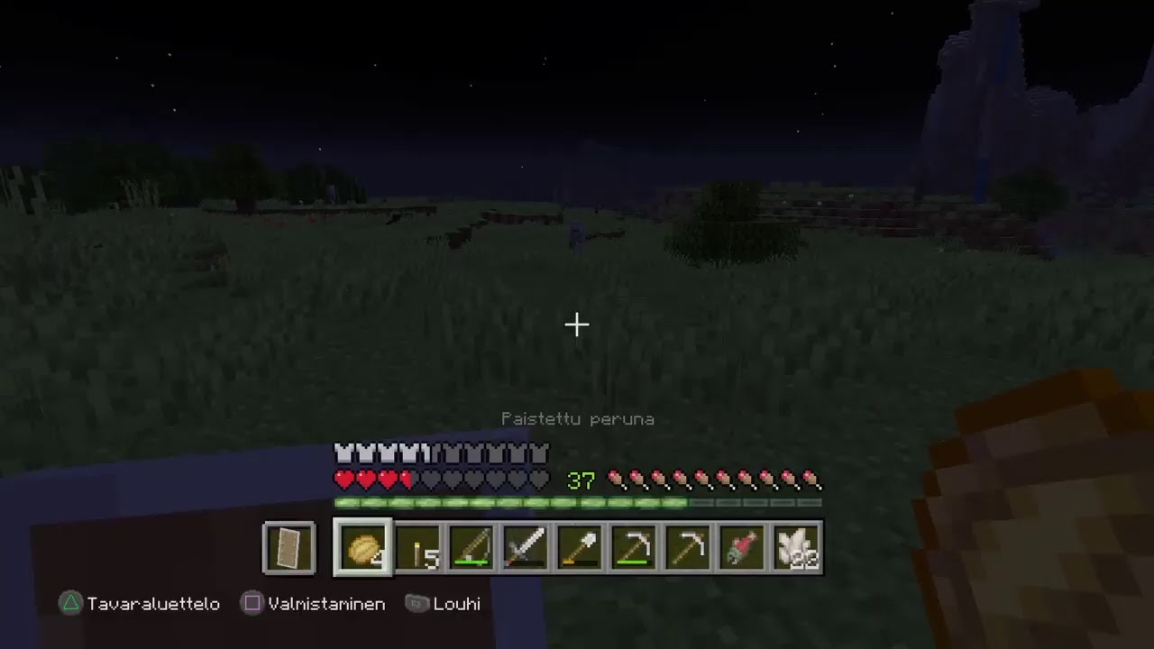 Minecraft fin live - YouTube