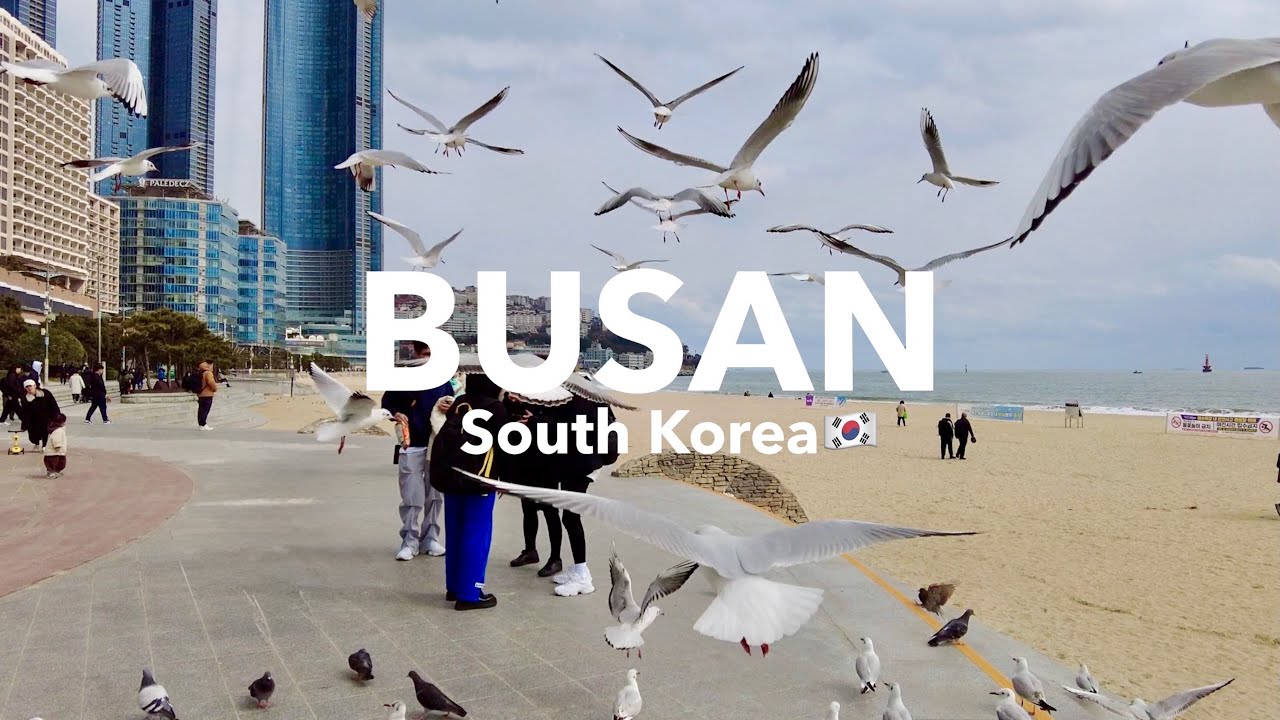 Busan South Korea - KTX Train, Busan Metro Subway & Buses! Places To ...