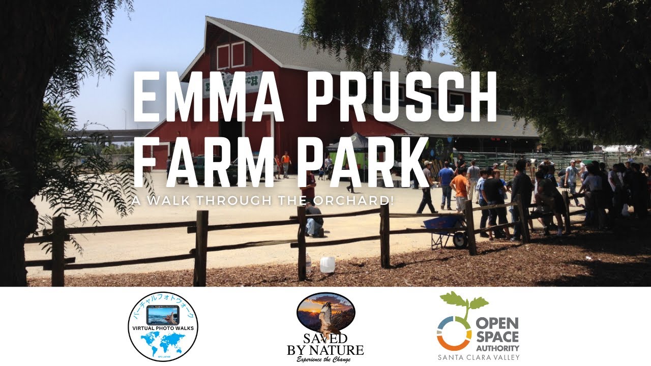 Emma Prusch Farm Park - YouTube