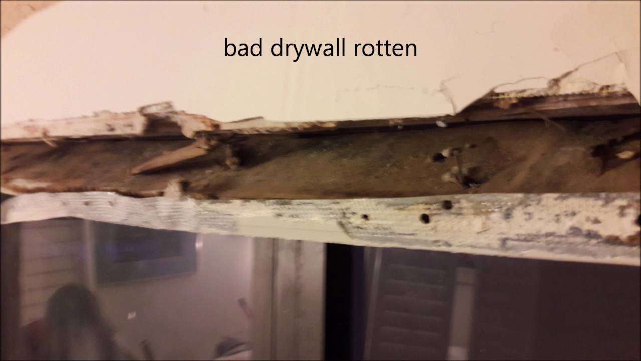 Tampa Condo water intrusion mold cleanup Sept 2016 Mr Dry Out - YouTube