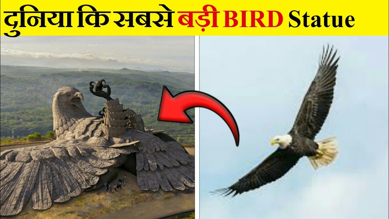दुनिया की सबसे बड़ी BIRD STATUE INDIA 😱||LONG BIRD STATUE IN INDIA ...