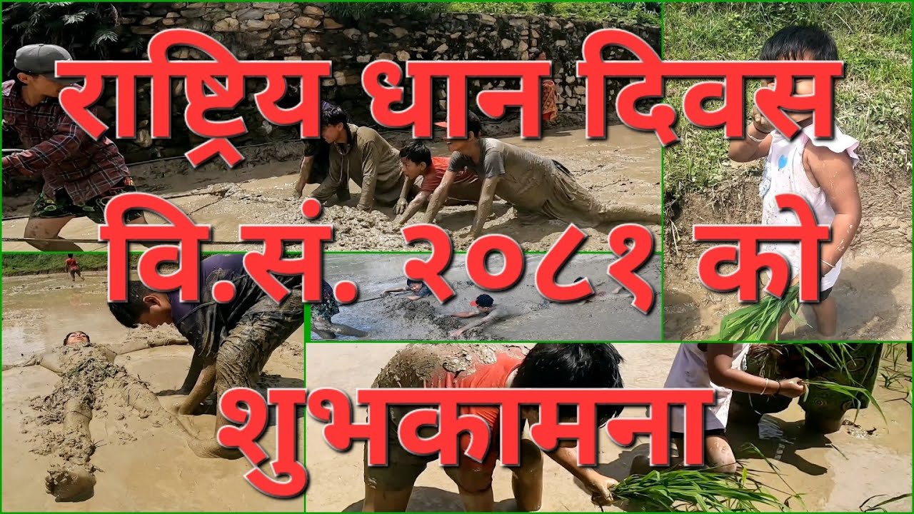 Rastriya Dhan Diwas 2081 B.S. | Ropai | Asadh 15 | Dahi Chiura Khane ...