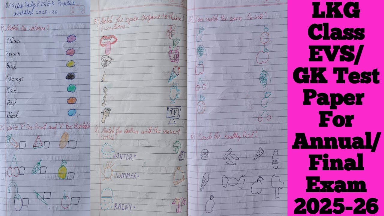 LKG Class Daily EVS/GK Practice worksheet | LKG EVS/GK Test Paper for ...