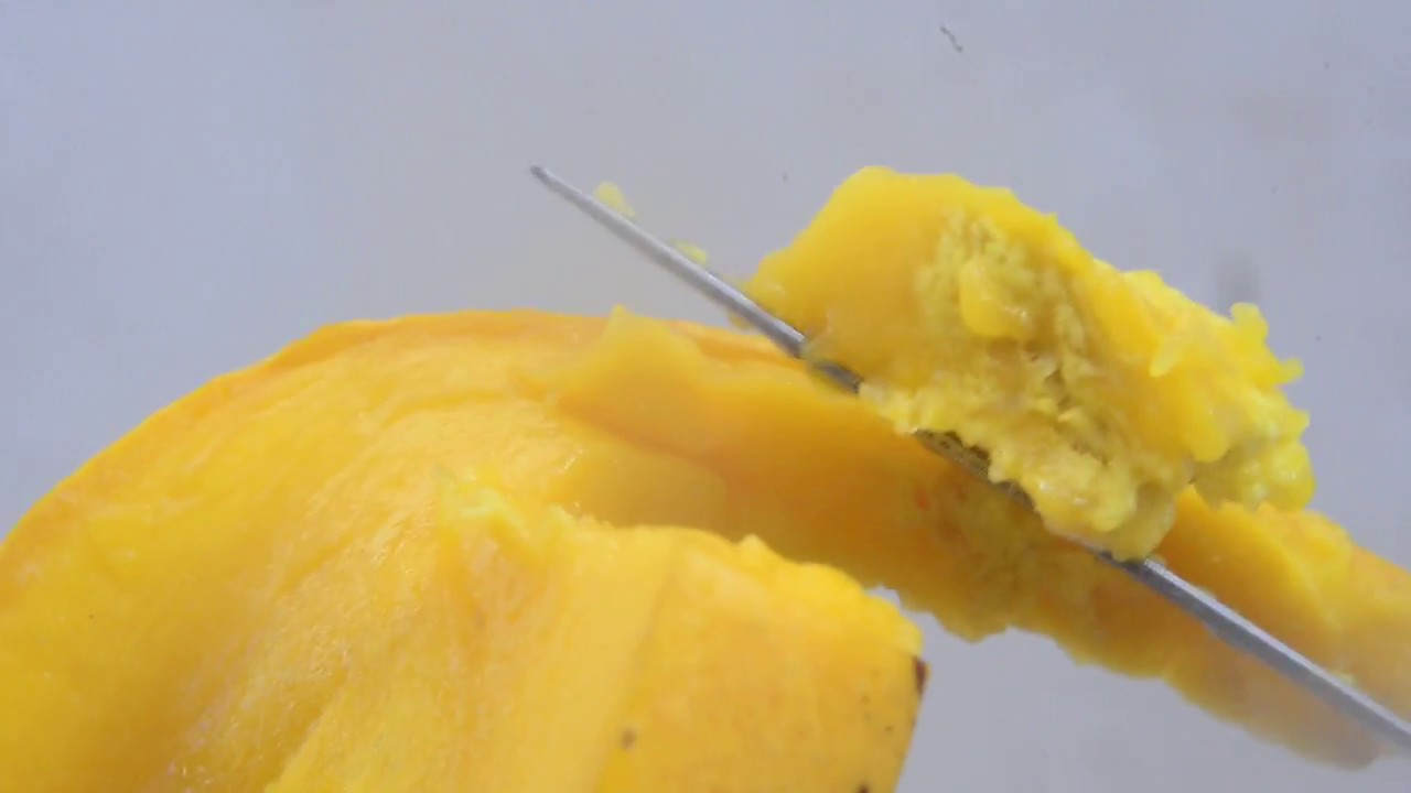 10 Tumor maligno de un mango - YouTube