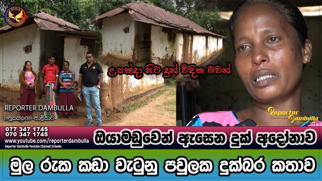 මුල රුක කඩා වැටුනු පවුලක දුක්බර කතාව || Reporter Dambulla || Kumara ...