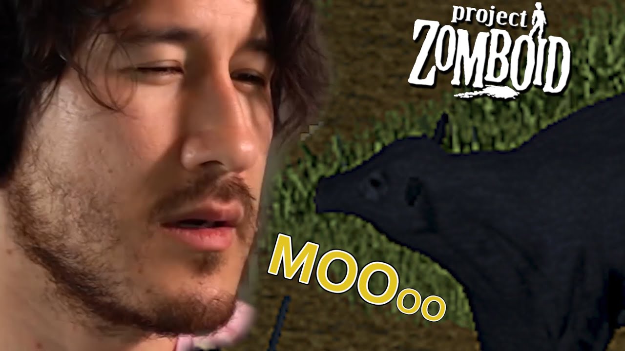 Cows In Project Zomboid | Zomboid Memes - YouTube