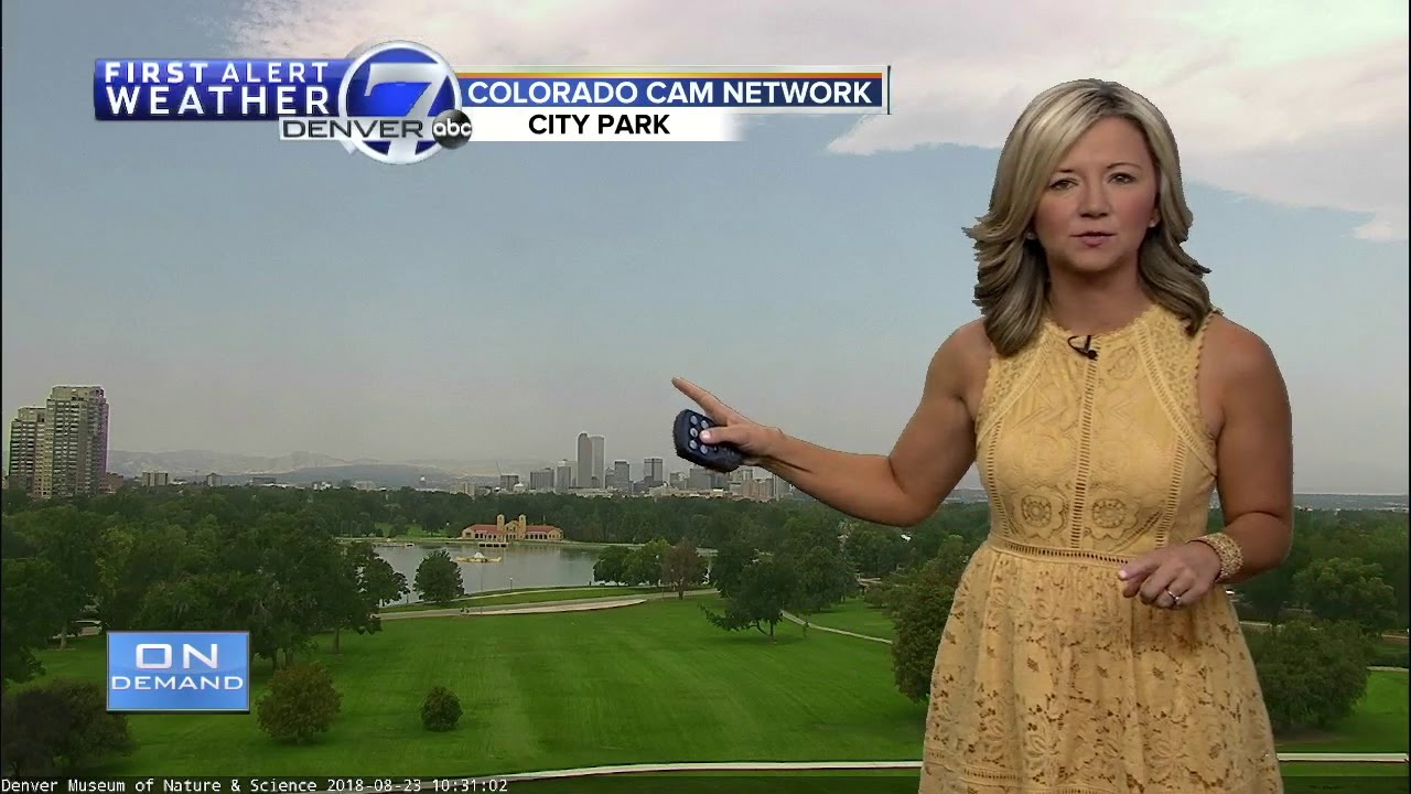 Denver 7 Latest Headlines | August 23, 10am - YouTube