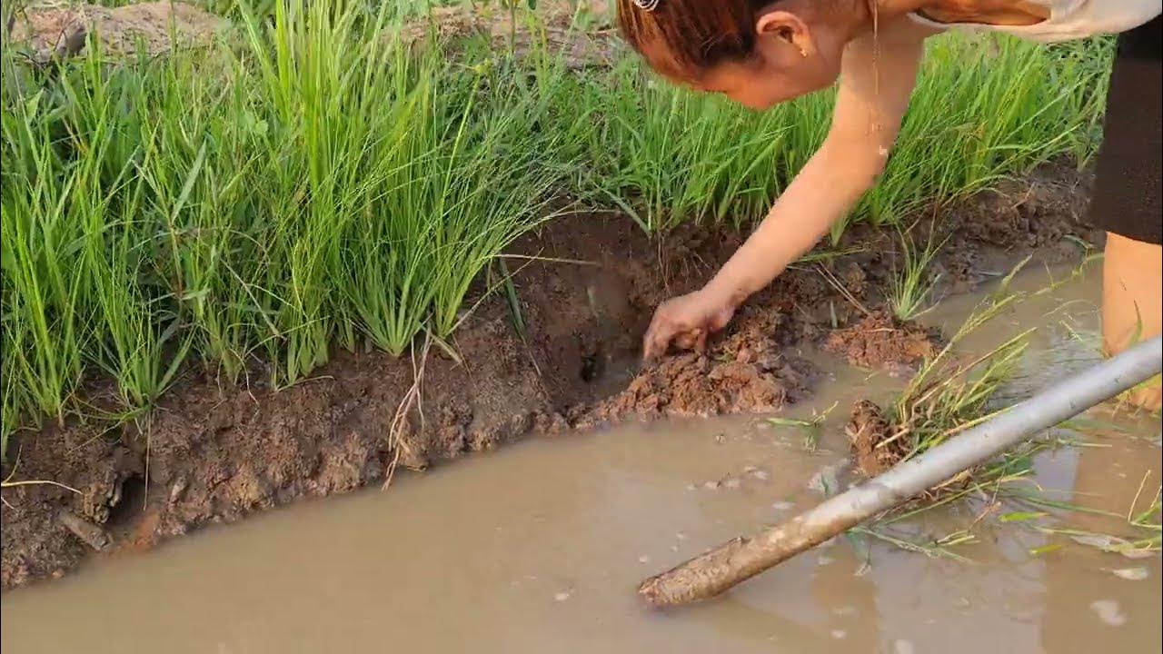 Sotheany cutting crab tunnel - YouTube