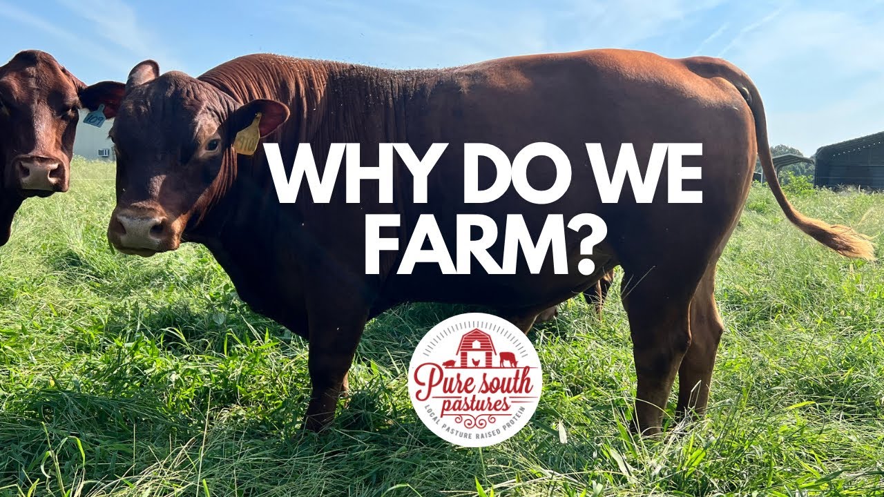 Why do we farm part time? The beginnings of a small livestock ranch ...