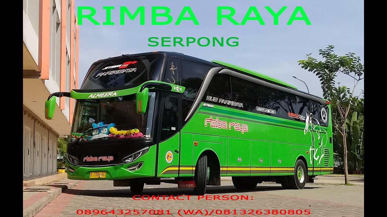 Medium_Bus_Tourista Seat_35 Bus_Pariwisata PO. Rimba_Raya_Serpong - YouTube