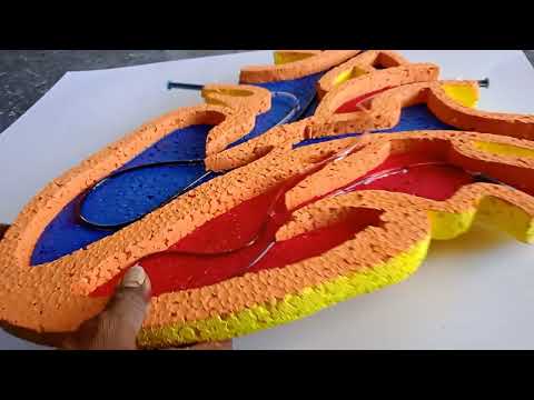 thermocol heart working model - (Ramnad Saravanan) - YouTube