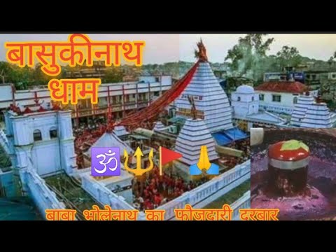 Basukinath dham | basukinath live darshan 🙏 - YouTube