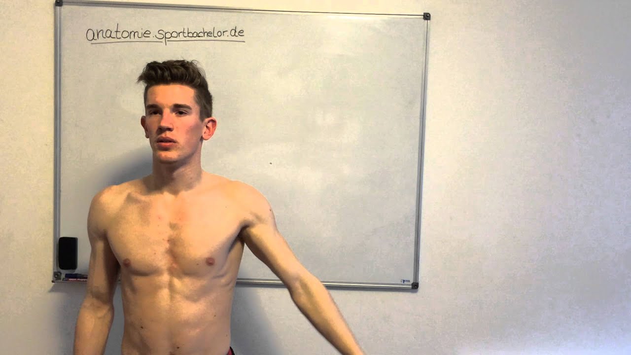 Adduktion im Schultergelenk - YouTube