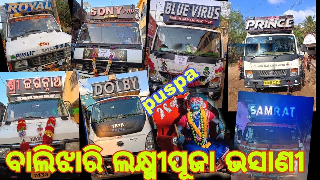 Balijhari Laxmipuja Bhasani 😲|| 12 Bess, 8 Bess.... ( Badamba ...