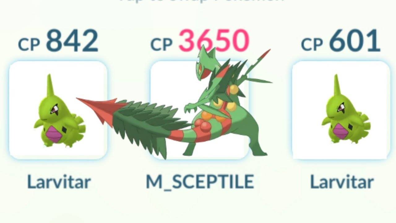 Mega Sceptile🍀 Vs Team Leager Arlo……………… Greenish Team Pokemon