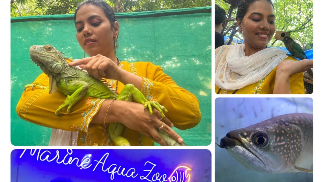Aqua Marine Zoo | Dadar zoo |Life with Nilofar - YouTube