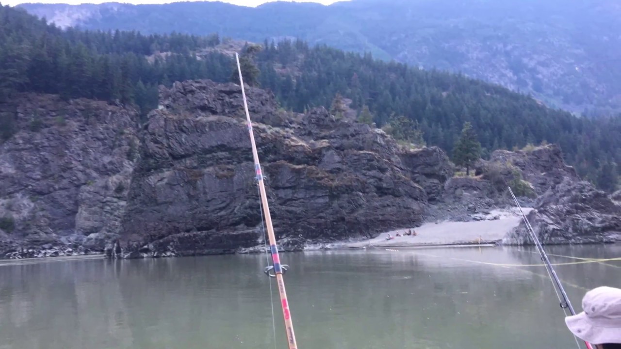 Mathew Gillis snagged a 3 foot sturgeon - YouTube