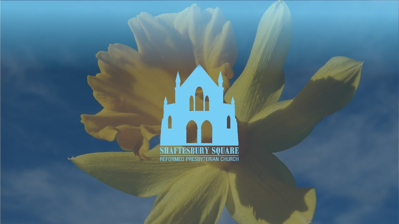 Our priorities in life, Luke 10:38-42, SSRPC 16/4/23 Evening Service ...