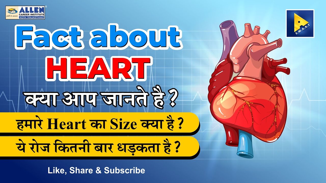 Surprising Facts About Human Heart Youtube