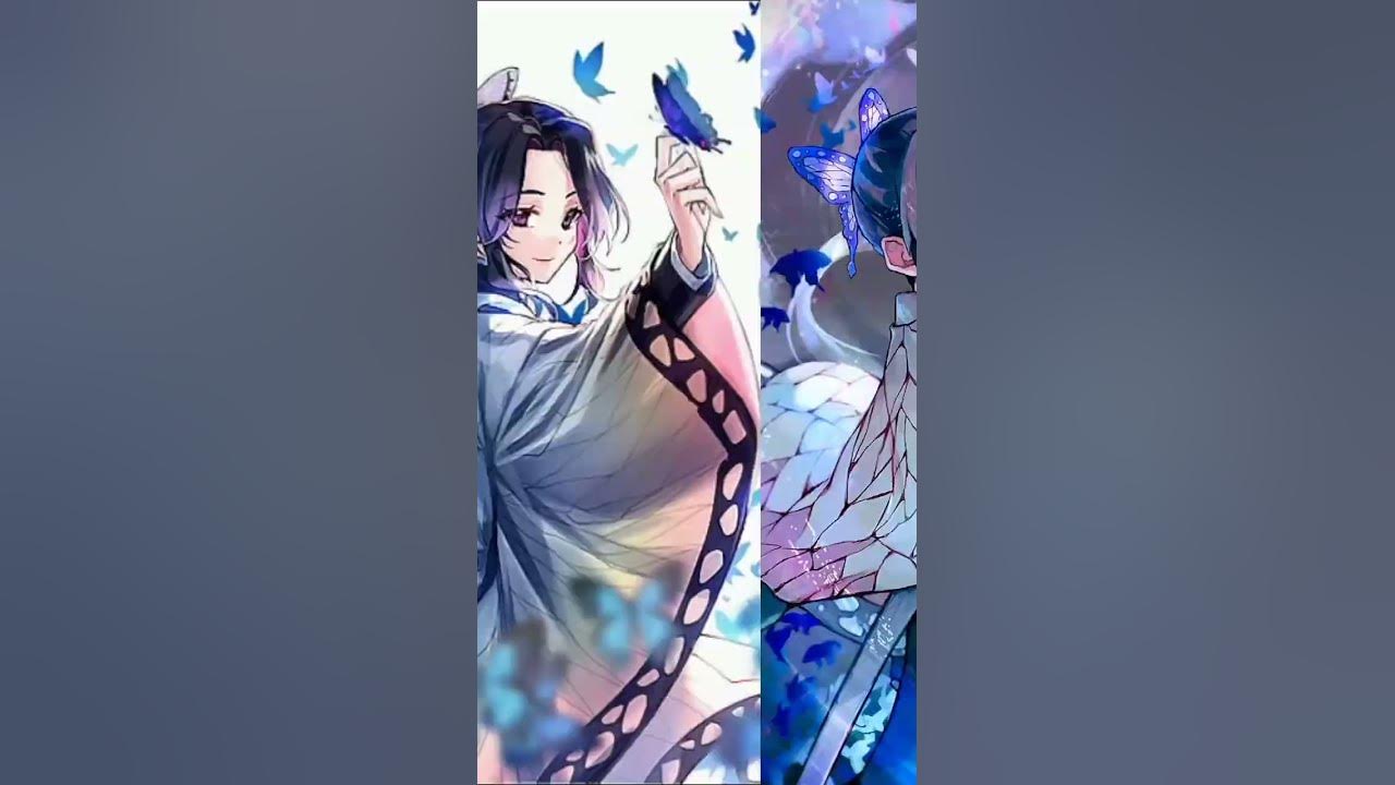 Shinobu Mad Youtube