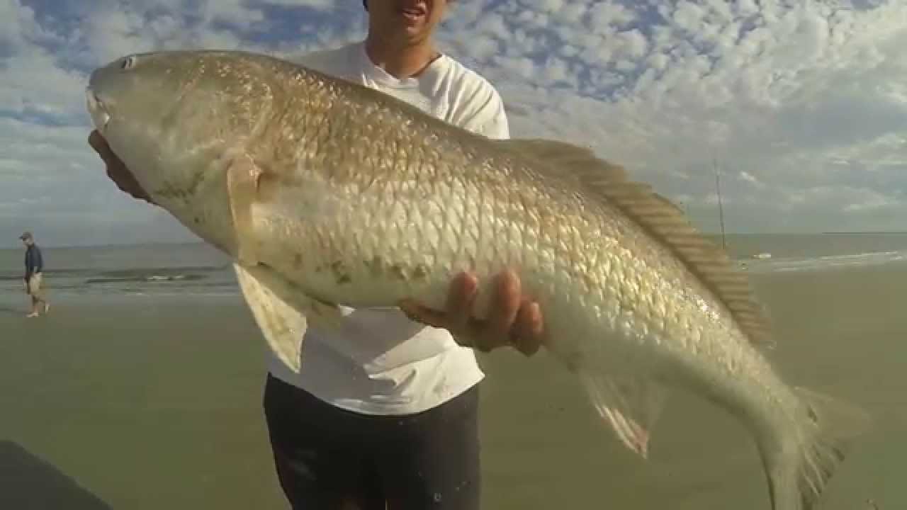 Coastal Georgia Bull Red Fish Surf Fishing on Jekyll Island SGSF Go Pro ...