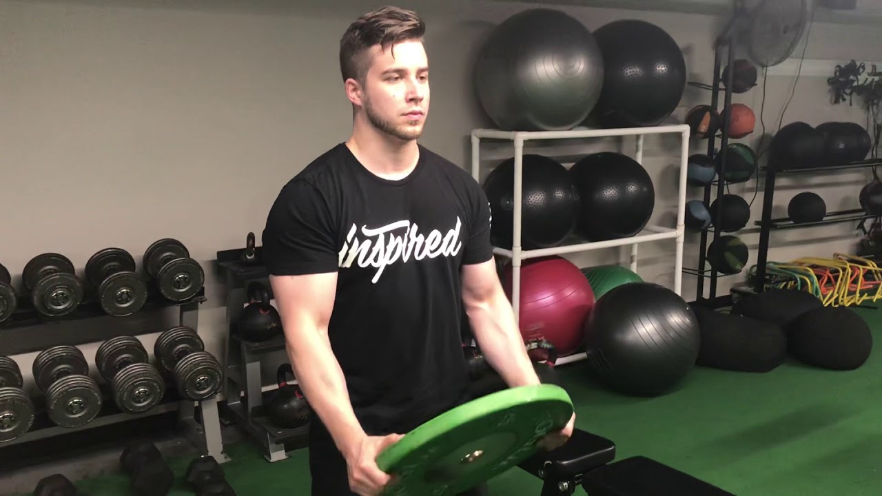 Bicep Plate Curl - YouTube