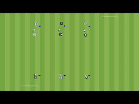 Kontrol–pas reaksiyon çalışması.