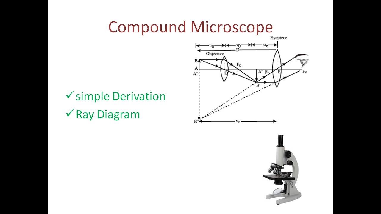 Why is a compound Microsoft called as such? - YouTube