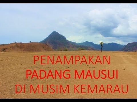PENAMPAKAN PADANG MAUSUI DI MUSIM KEMARAU - YouTube