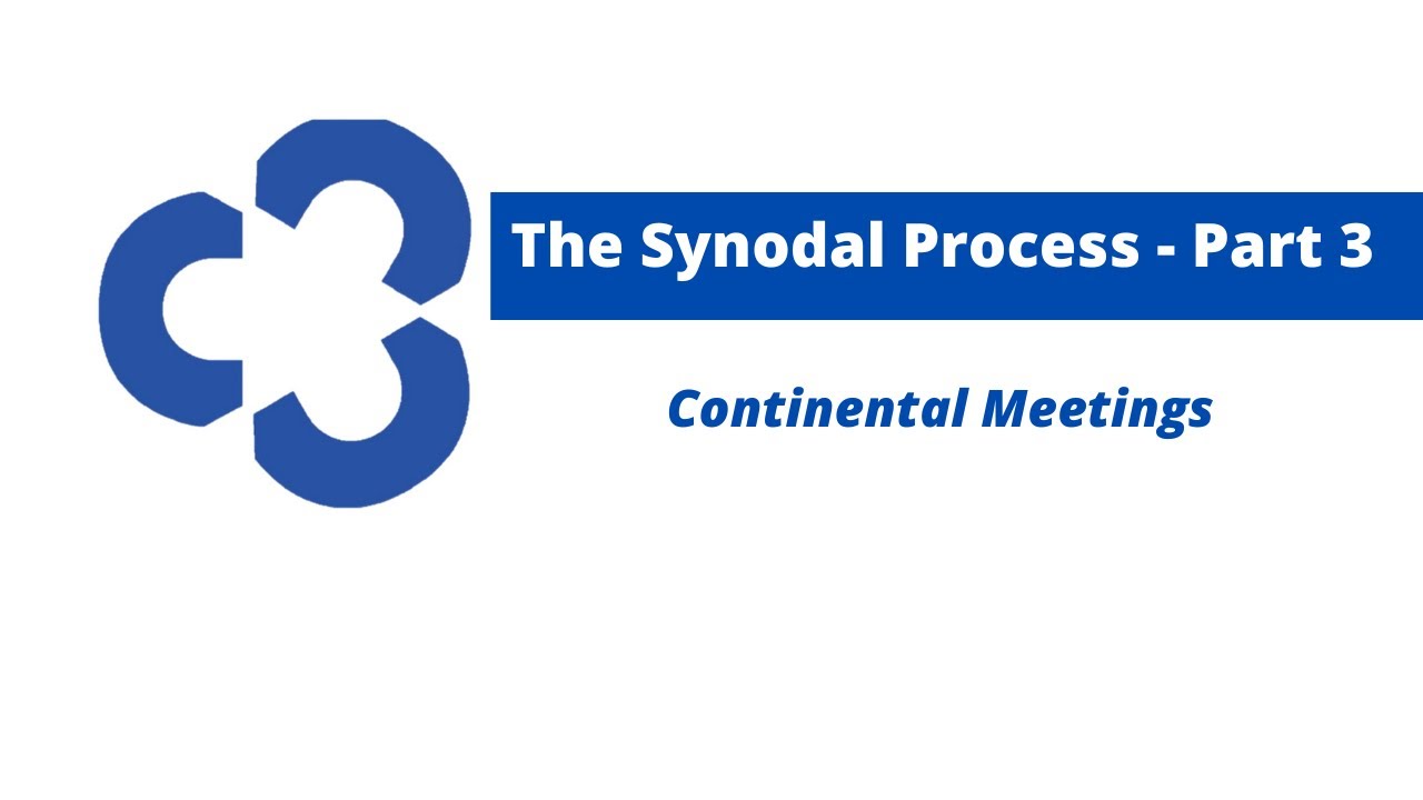 Webinars on the challenges and learnings of the Synodal Process ...