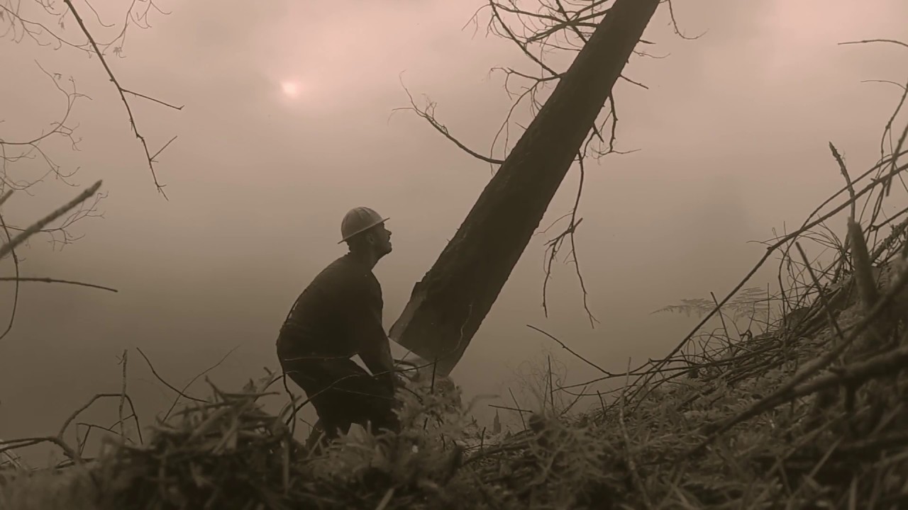 Oregon coast timber falling 2017 - YouTube