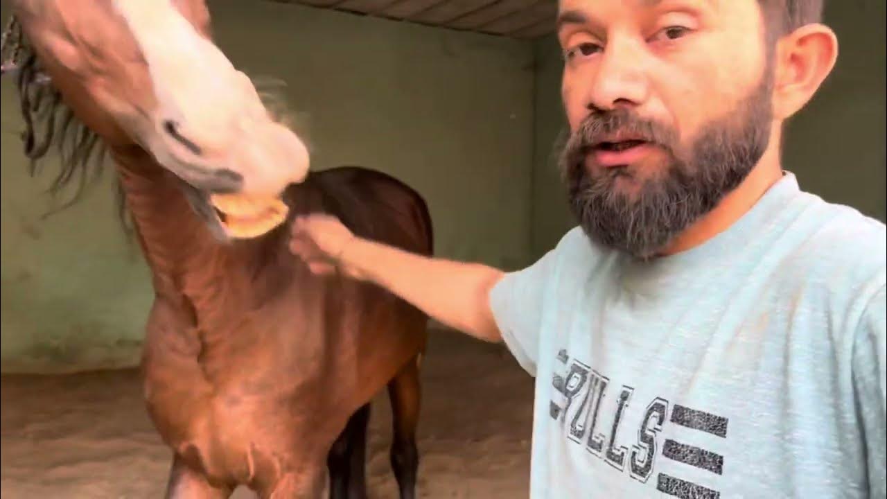 Vlog Number 32 Hussaini Badsha ko Bhir jane hen - YouTube