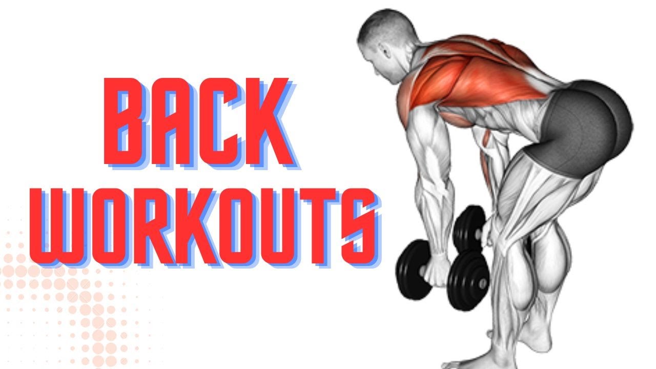 Ultimate Back Workout: Build a Stronger, V-Tapered Back Fast - YouTube
