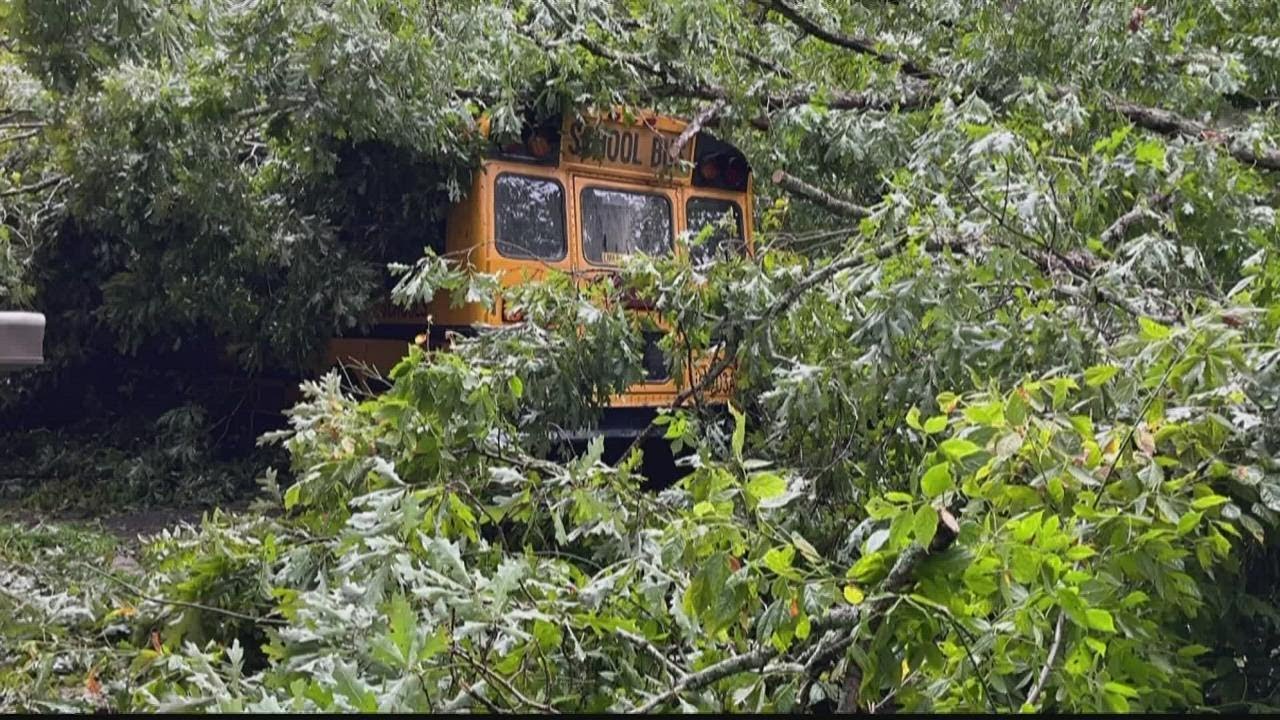 Tree crashes on Atlanta school bus with children on board, officials ...