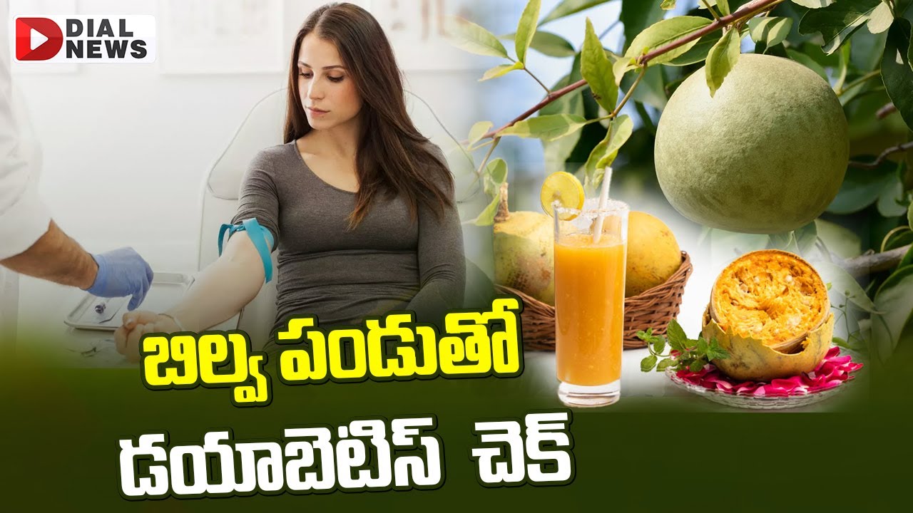 బిల్వ పండుతో డయాబెటిస్ చెక్ | Can Bael Fruit Reduces Diabetes ...