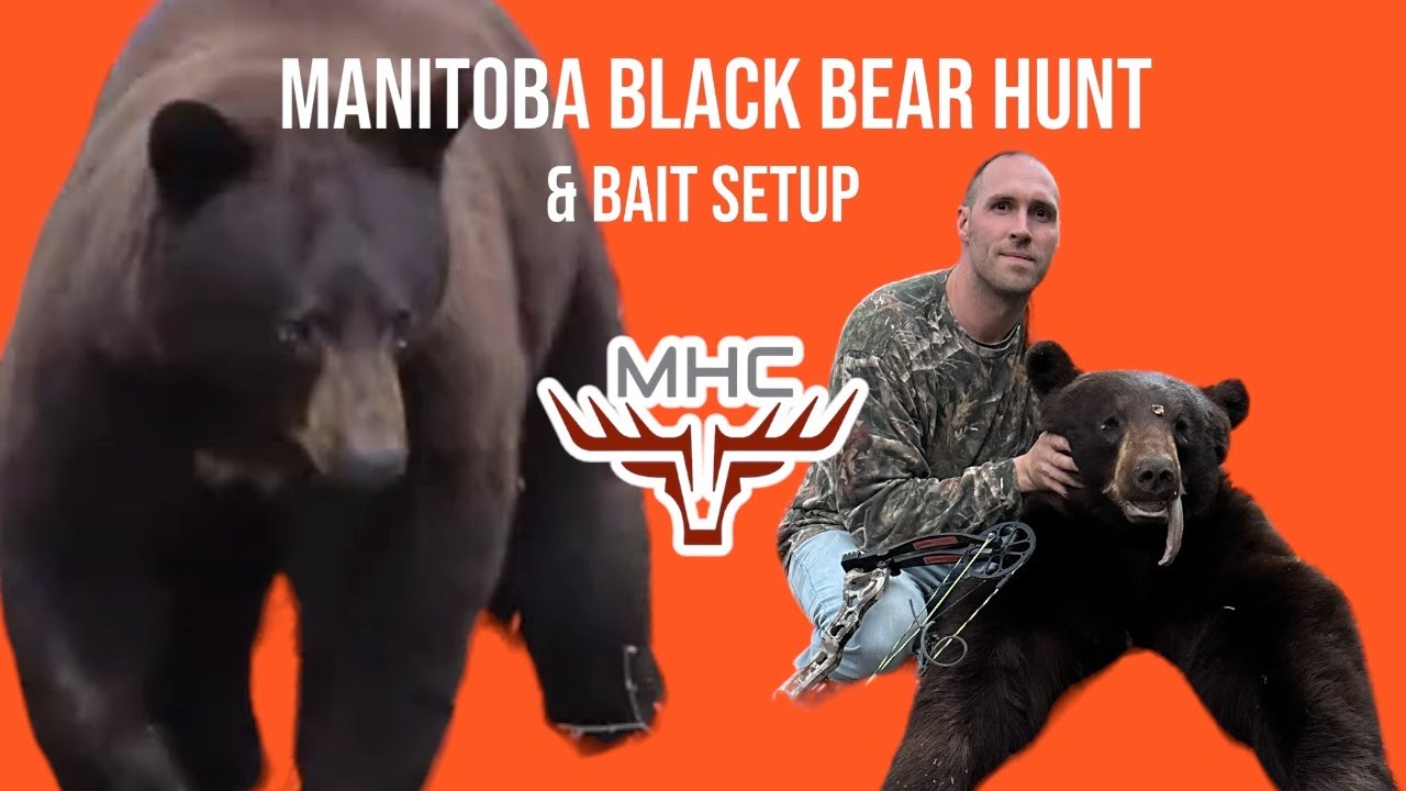 MHC - MANITOBA BLACK BEAR HUNT - BAITING SETUP - 19" POPE AND YOUNG ...