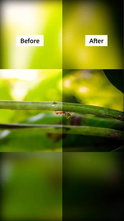 The Ant editing - YouTube