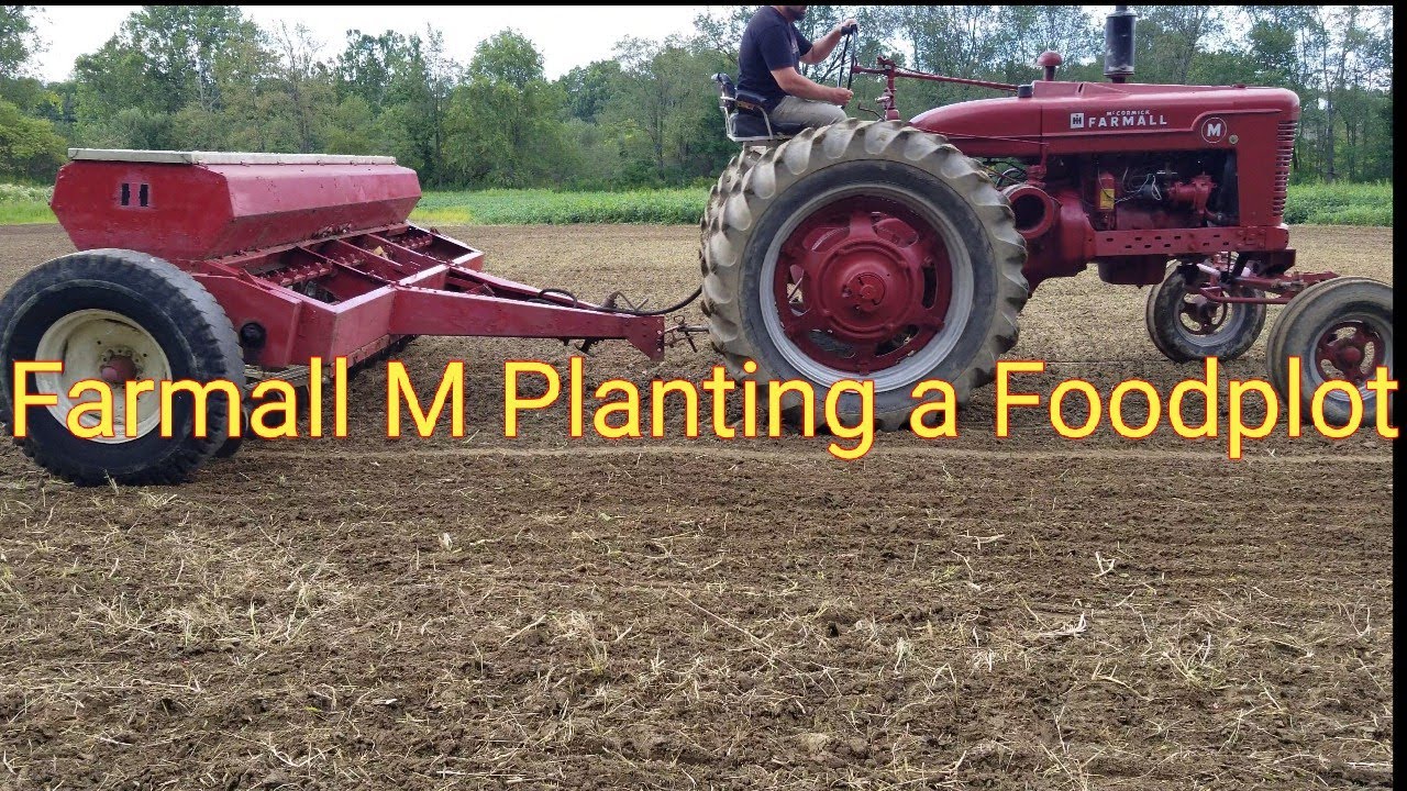 Farmall M Planting a Foodplot - YouTube