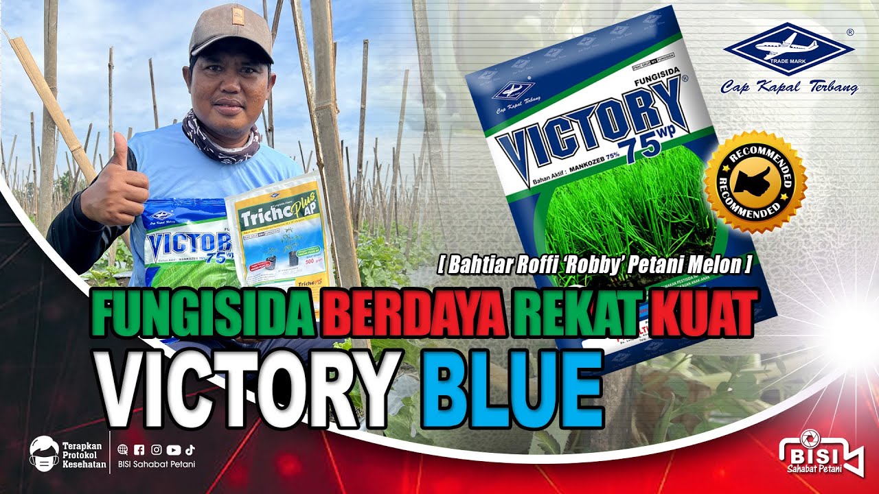 BISI Sahabat Petani : Victory Blue Berdaya Rekat Kuat - YouTube