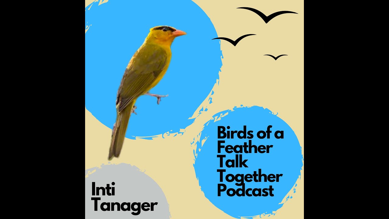 64: Inti Tanager with Kevin Burns - Also known as the 'Kill Bill ...