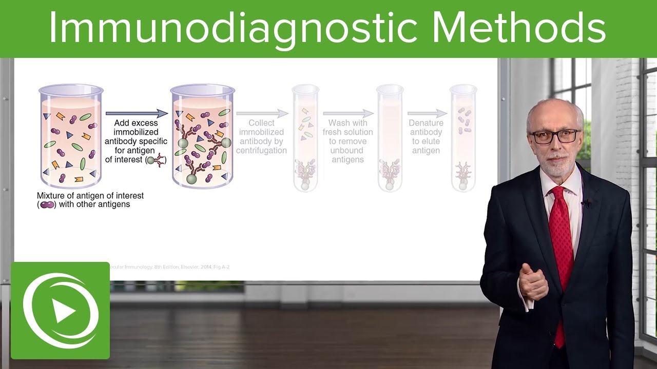 Immunodiagnostic Methods – Immunology | Lecturio - YouTube