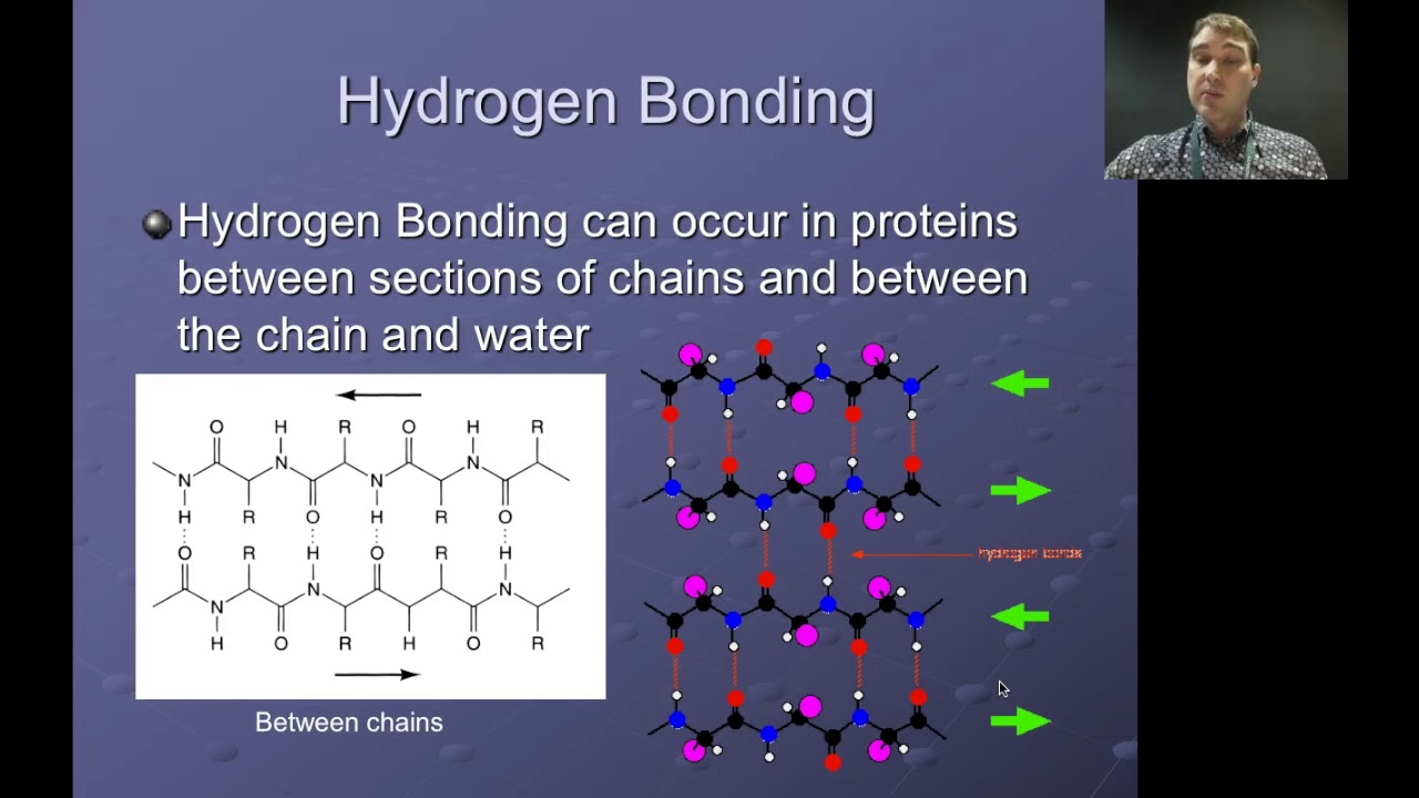 Flippin' Science- Topic 3.10 Amino Acids and Proteins - YouTube